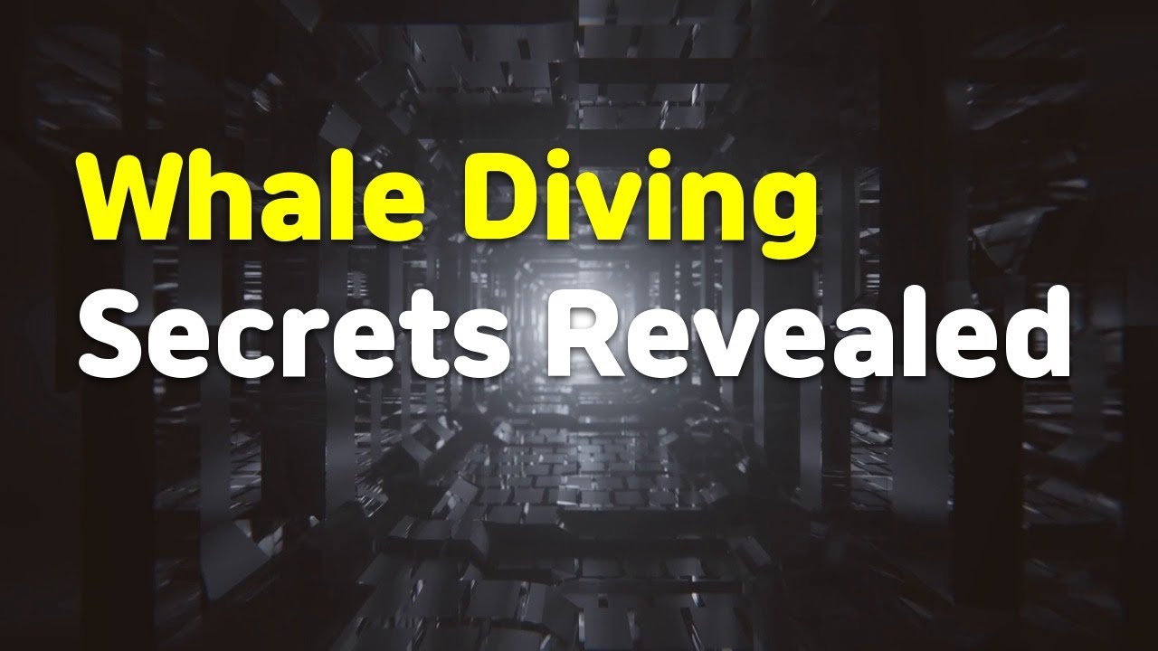 How do whales dive so deep - YouTube
