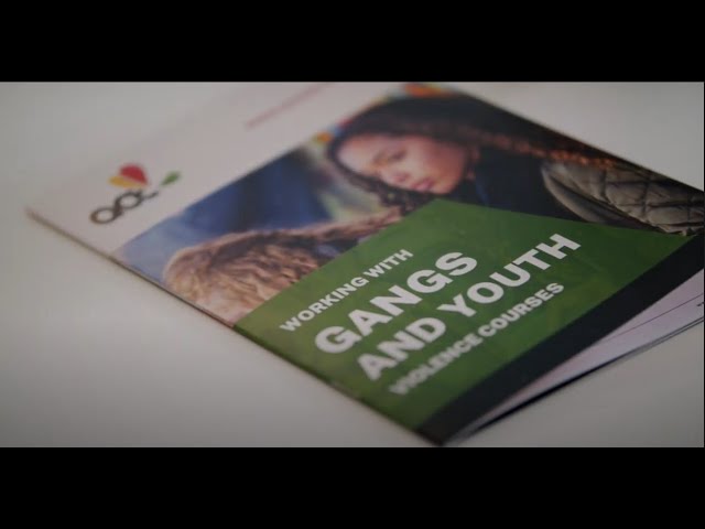 Gangs And Youth Violence