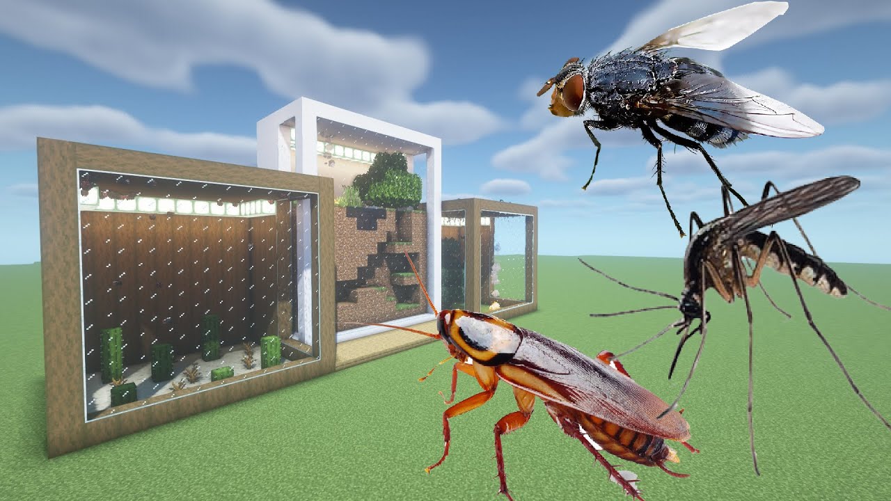 How To Make a Cockroach, Fly and Mosquito Farm in Minecraft PE - YouTube