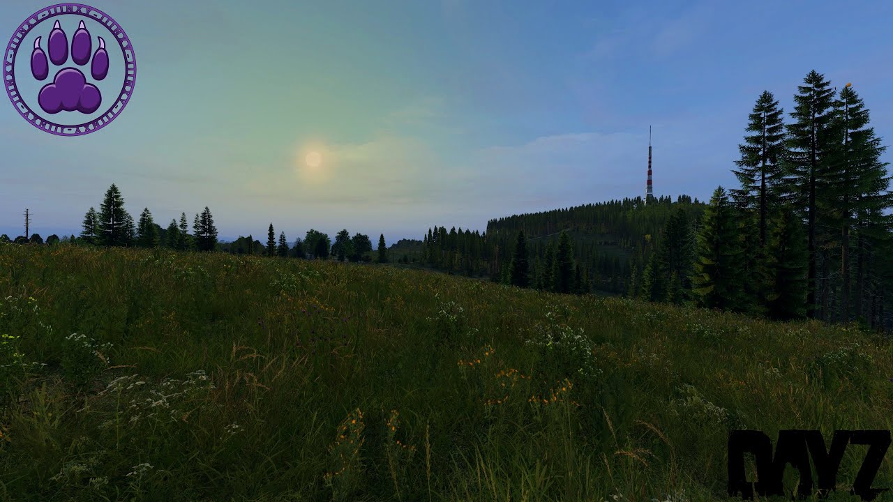 Summer Chernarus Survival - unedited Twitch VOD from 16.02.23. - YouTube