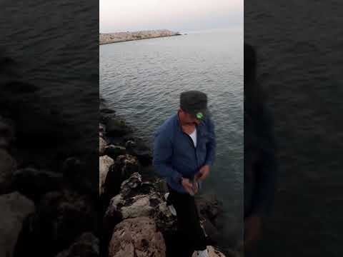Spin avında yakalanan grida suya iade