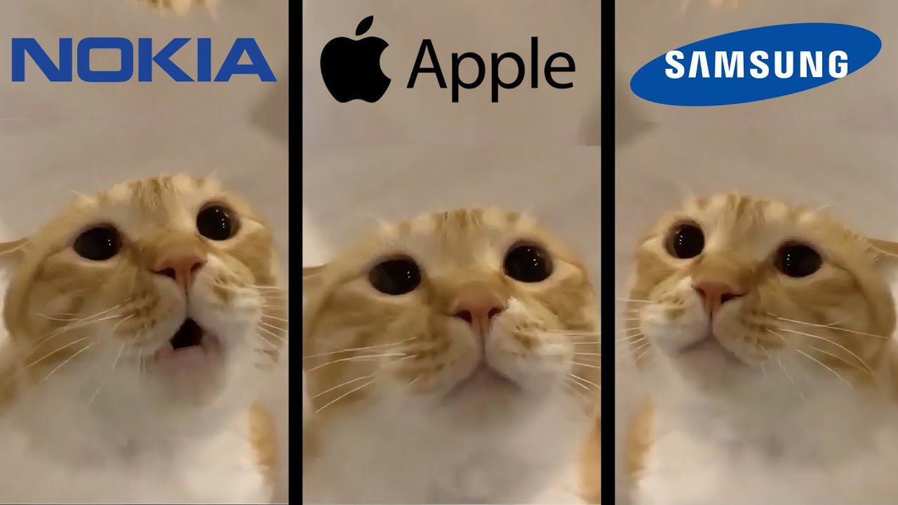 Moo Cat but famous phone ringtones - YouTube