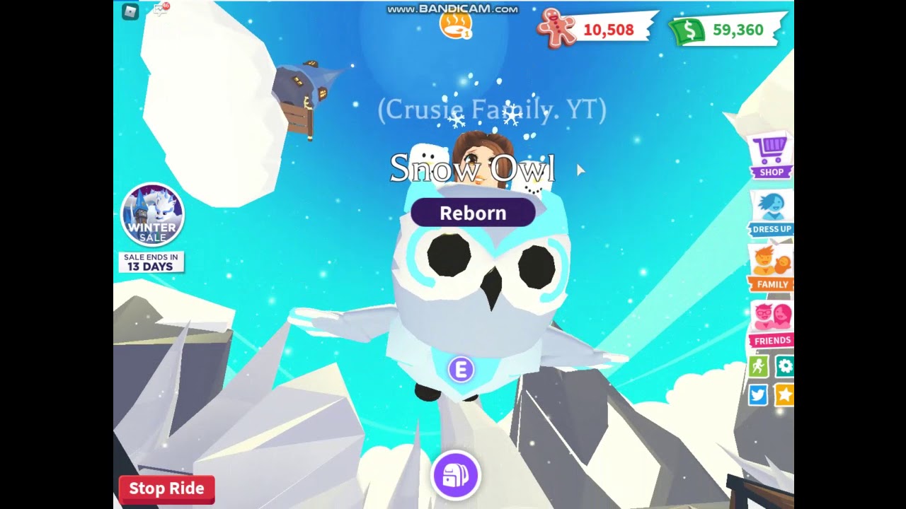 How to make a NEON SNOW OWL. Trades?! Adopt me Roblox! - YouTube