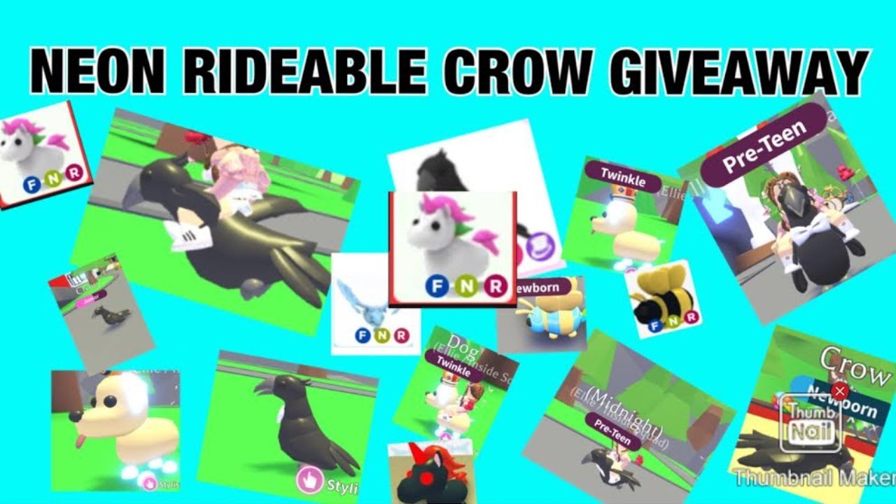 ADOPT ME RIDEABLE CROW GIVEAWAY - YouTube