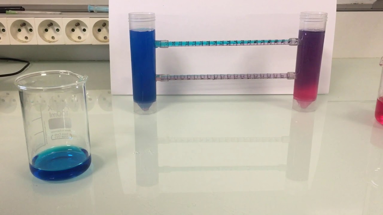 Circulation thermohaline explication n•2 - YouTube