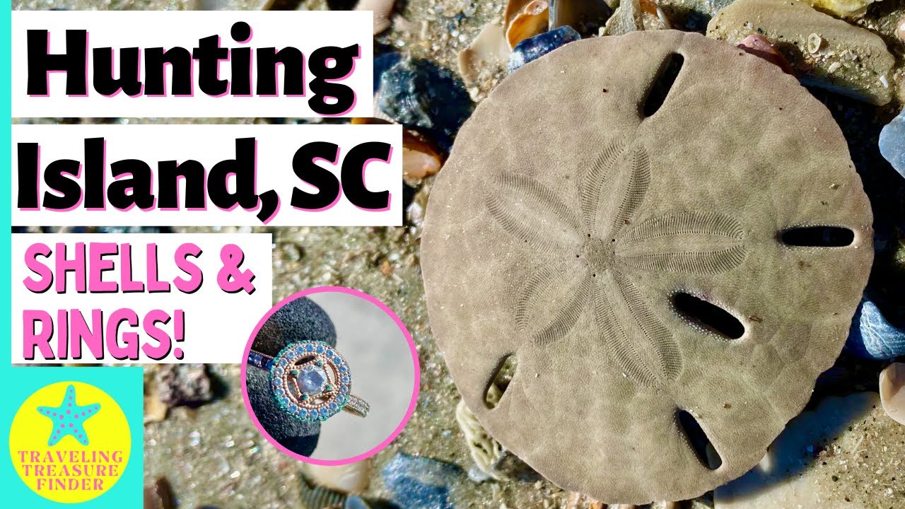 My first REAL treasure while metal detecting! | Shelling in South ...