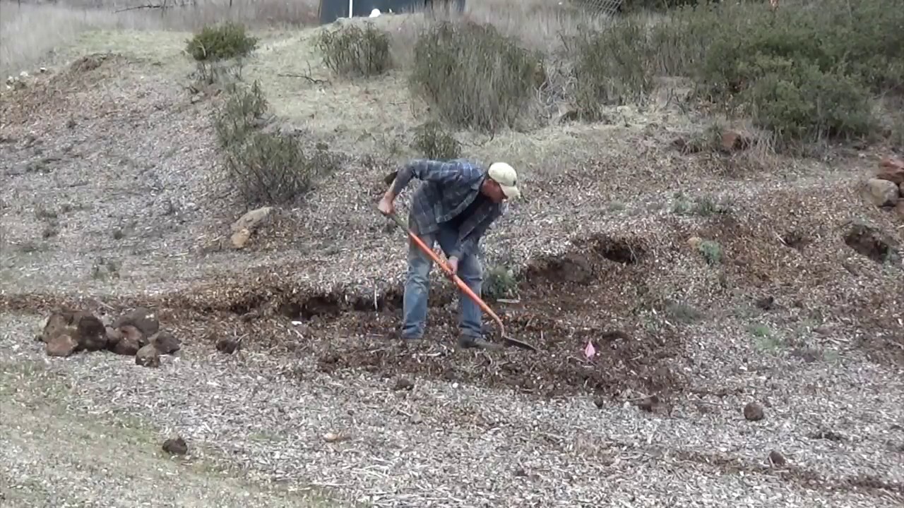 Starting A Huge Rock Wall Build, You Know I Stand Up Next To A Mountain ...
