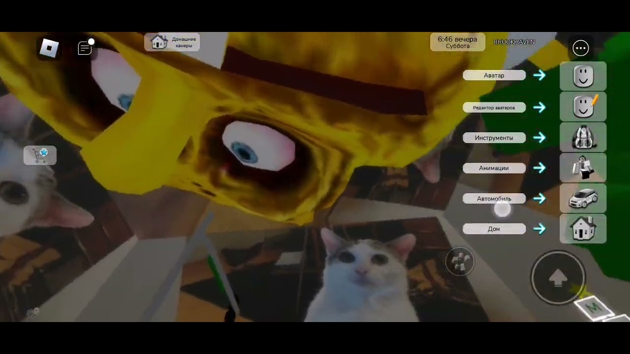 ребят что с brookhaven и так уже происходит третий день ещё в ИКЕЕ😭🌹 ...