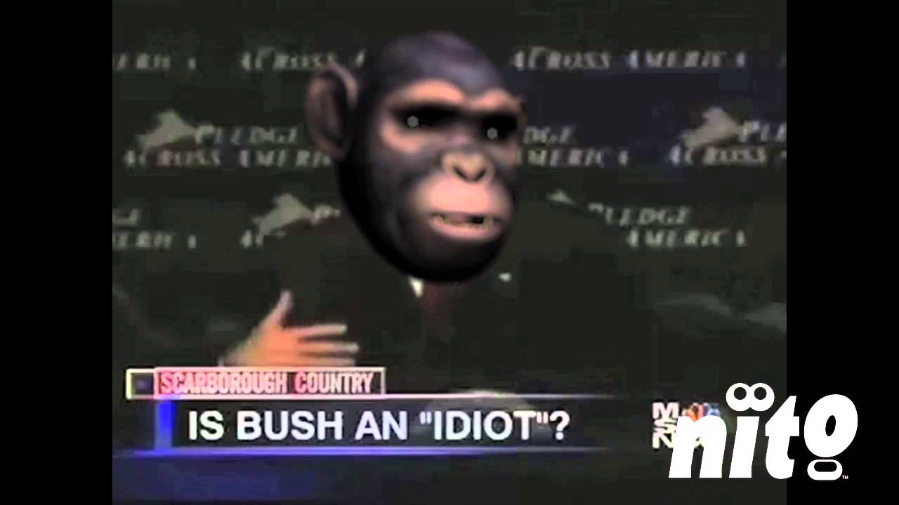 Bush Chimp + Nito - YouTube