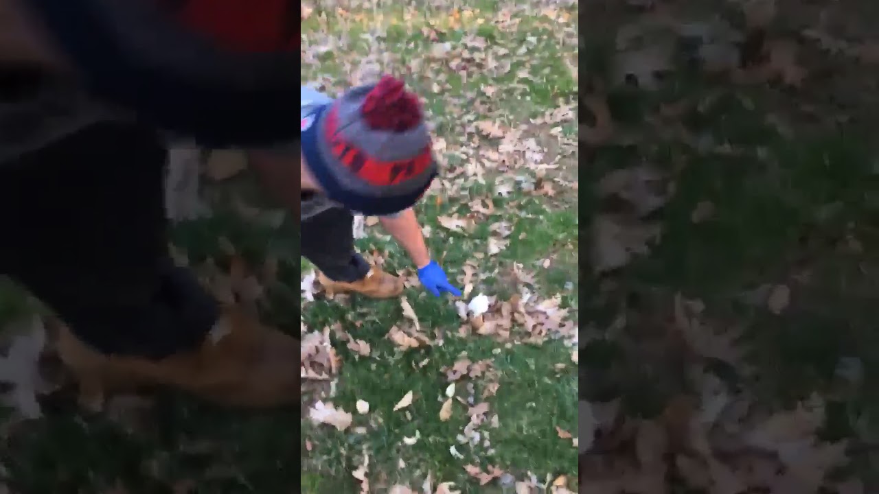 tp tree part 1 - YouTube