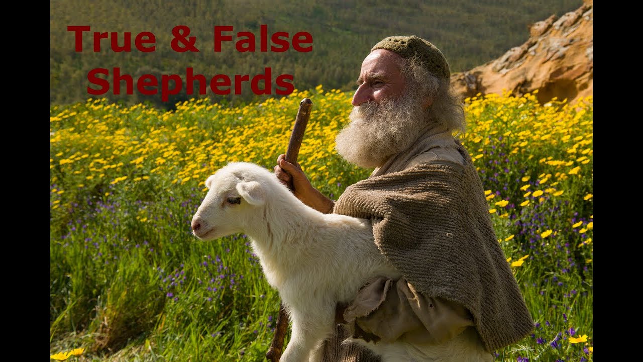 True & false shepherd's - YouTube