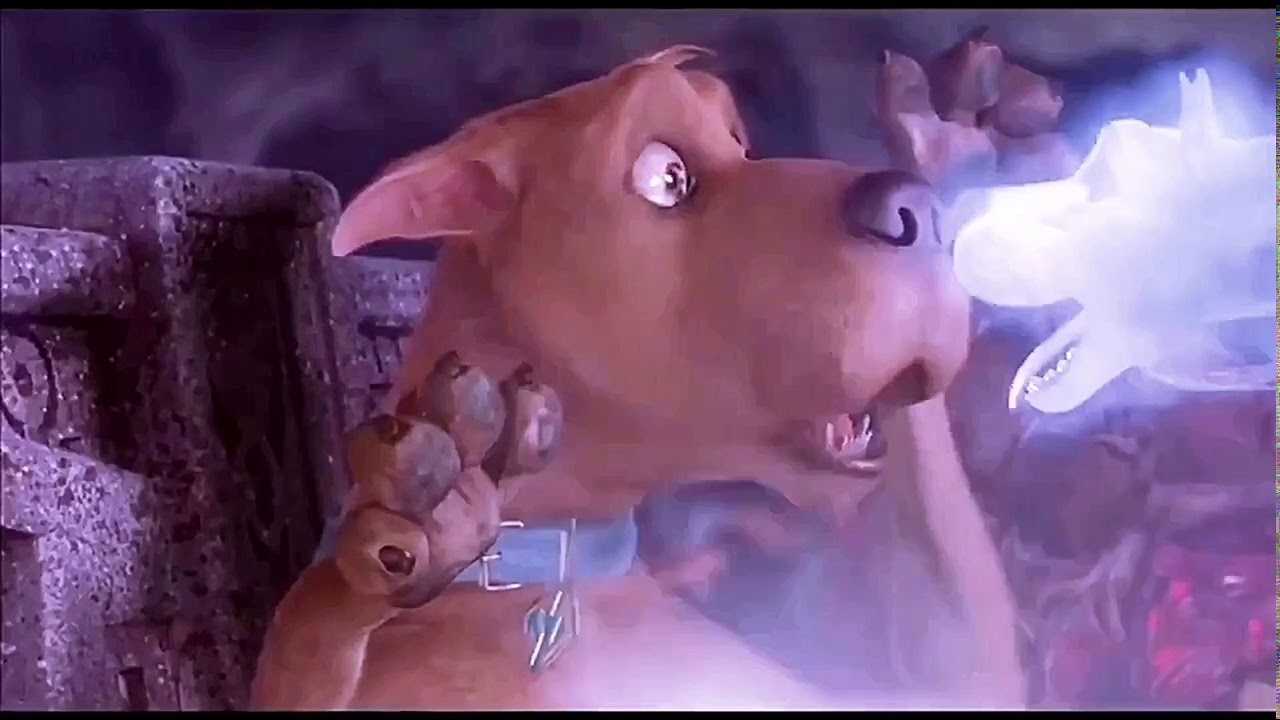 Scooby-Doo and his Protoplasm meet face to face (slow) - YouTube