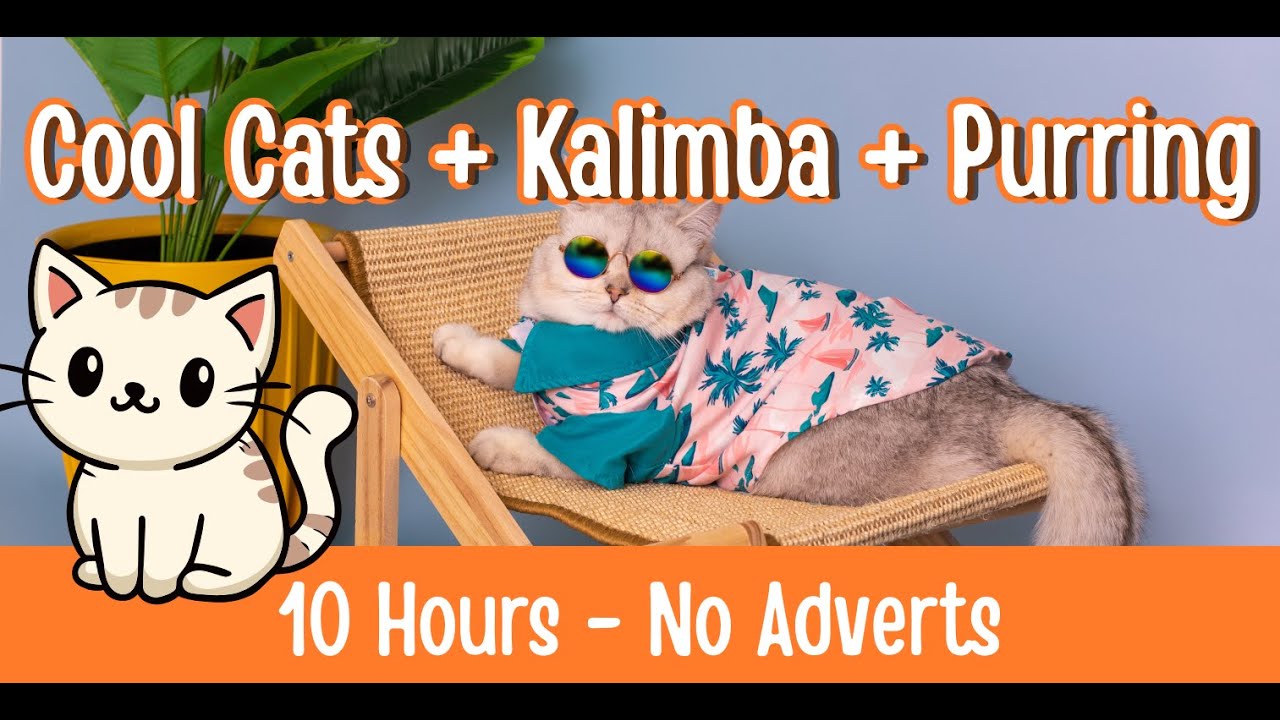 Cool Cats Kalimba & Purring for Cats & Kittens | Calming Cat Music ...