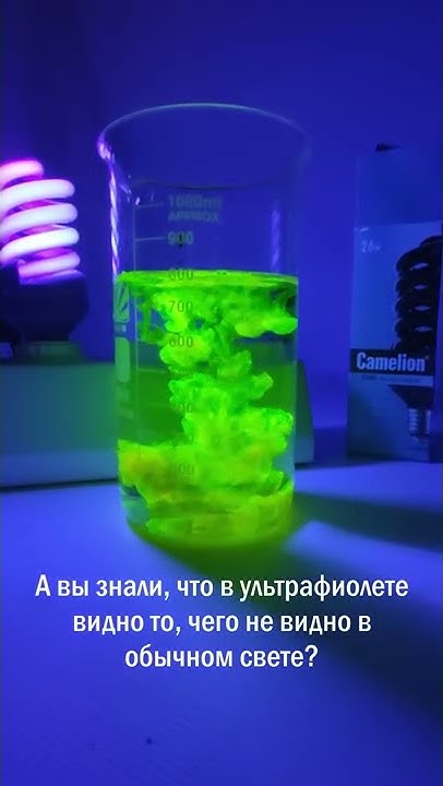 Ультрафиолетовая лампа Camelion - YouTube