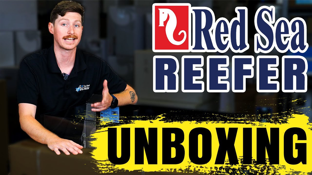 From Box to Reef: Reefer 250 - PART 1: UNBOXING - YouTube