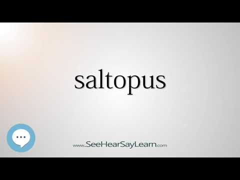 saltopus - Dinosaur Names 🔊☄