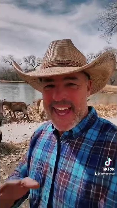 Fainting Goats? #goats #goatgrazing #grazinggoats #targetedgrazing #goatscaping #cowboymax - YouTube