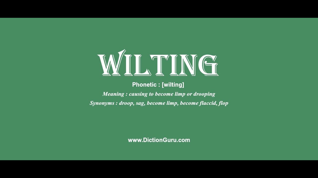 wilting: How to pronounce wilting with Phonetic and Examples - YouTube