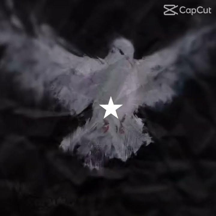 Nikolai core - YouTube