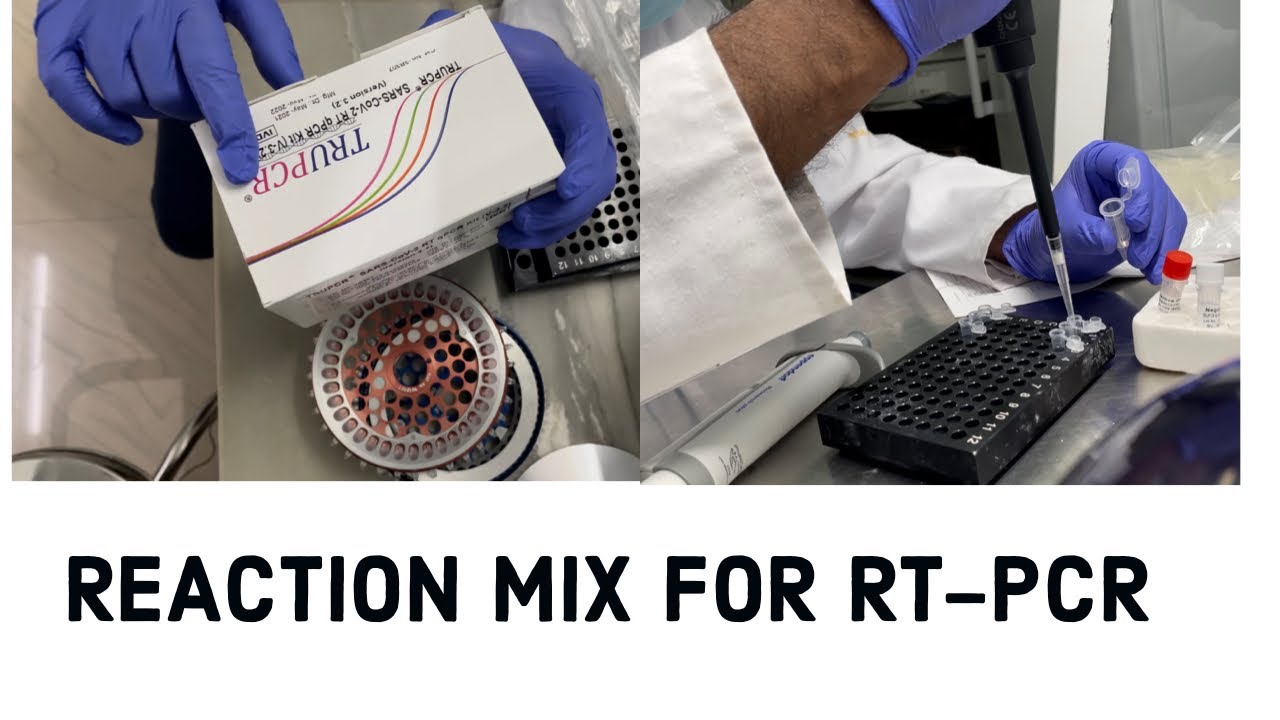 Reaction Mix/Master mix for RT-PCR | PCR Techniques part-2 - YouTube