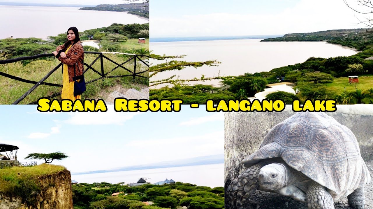 Big Tortoises|Sabana Beach Resort| Mesmerizing Lake Langano|Ethiopia ...