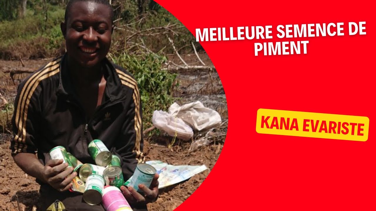 MEILLEURE SEMENCE DE PIMENT. - YouTube