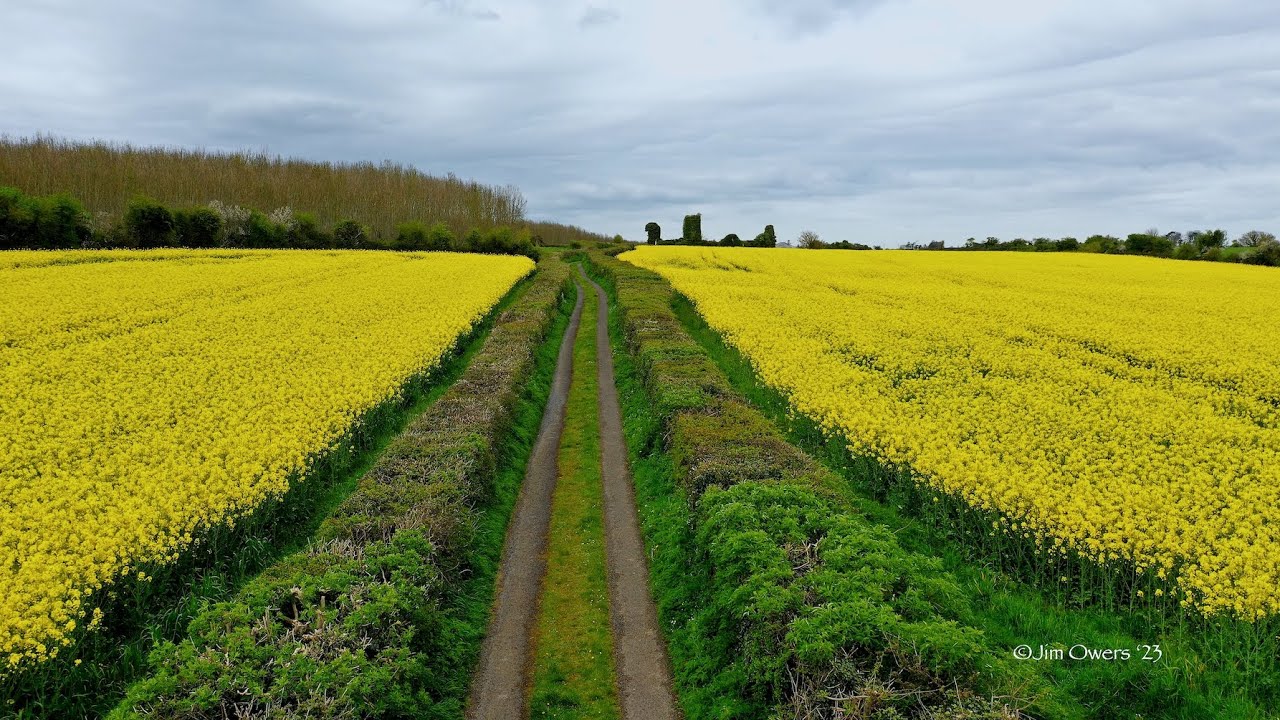 Saint Declan's Pilgrim Way, Ireland. The first stage of five. - YouTube