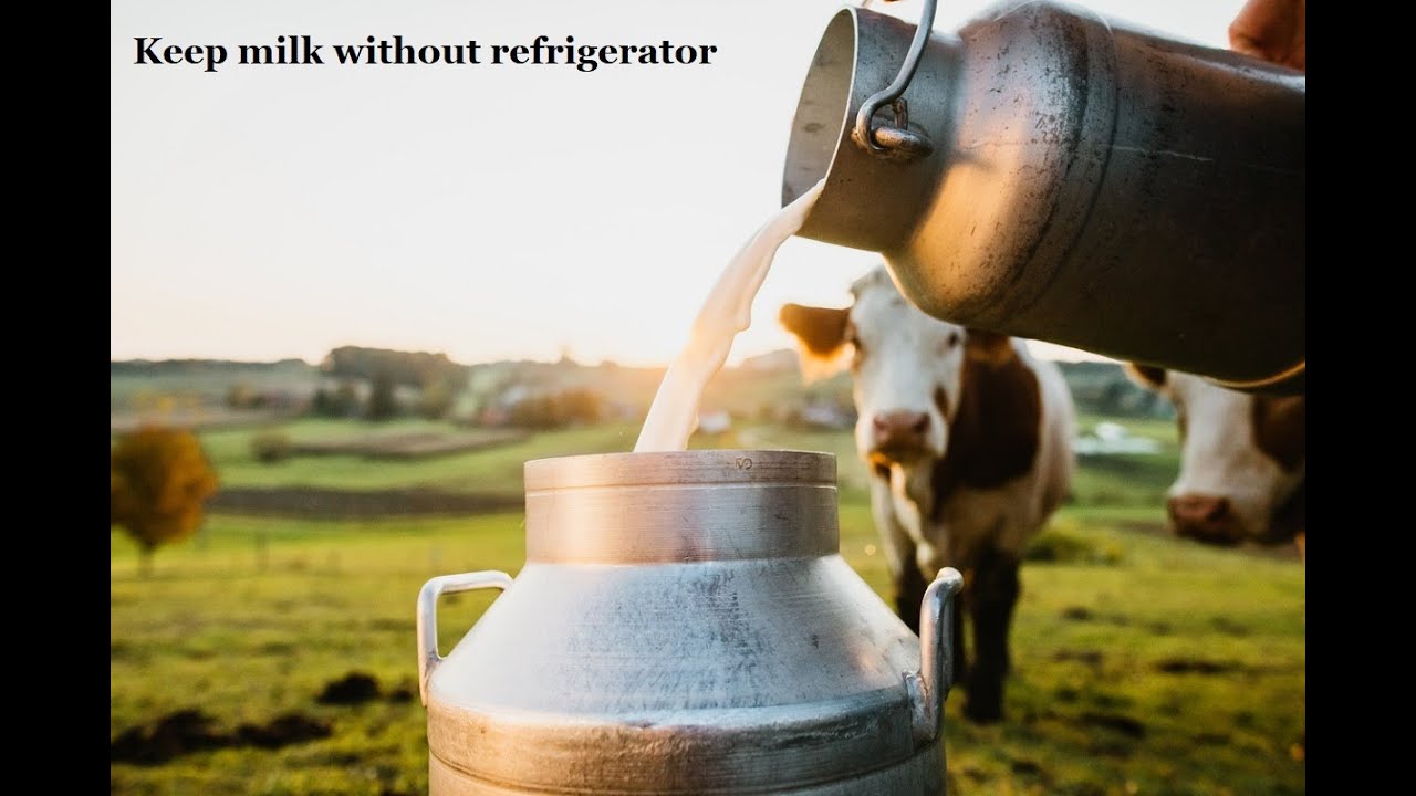 How to keep milk without fridge - YouTube