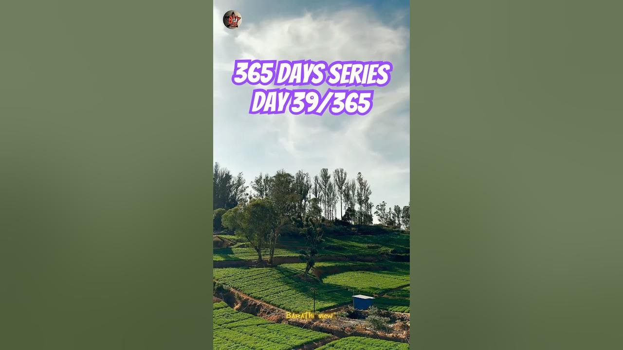 365 days series | Day 39/365 | #365daysseries #365dayschallange #vlog #trending #shortvideo # ...