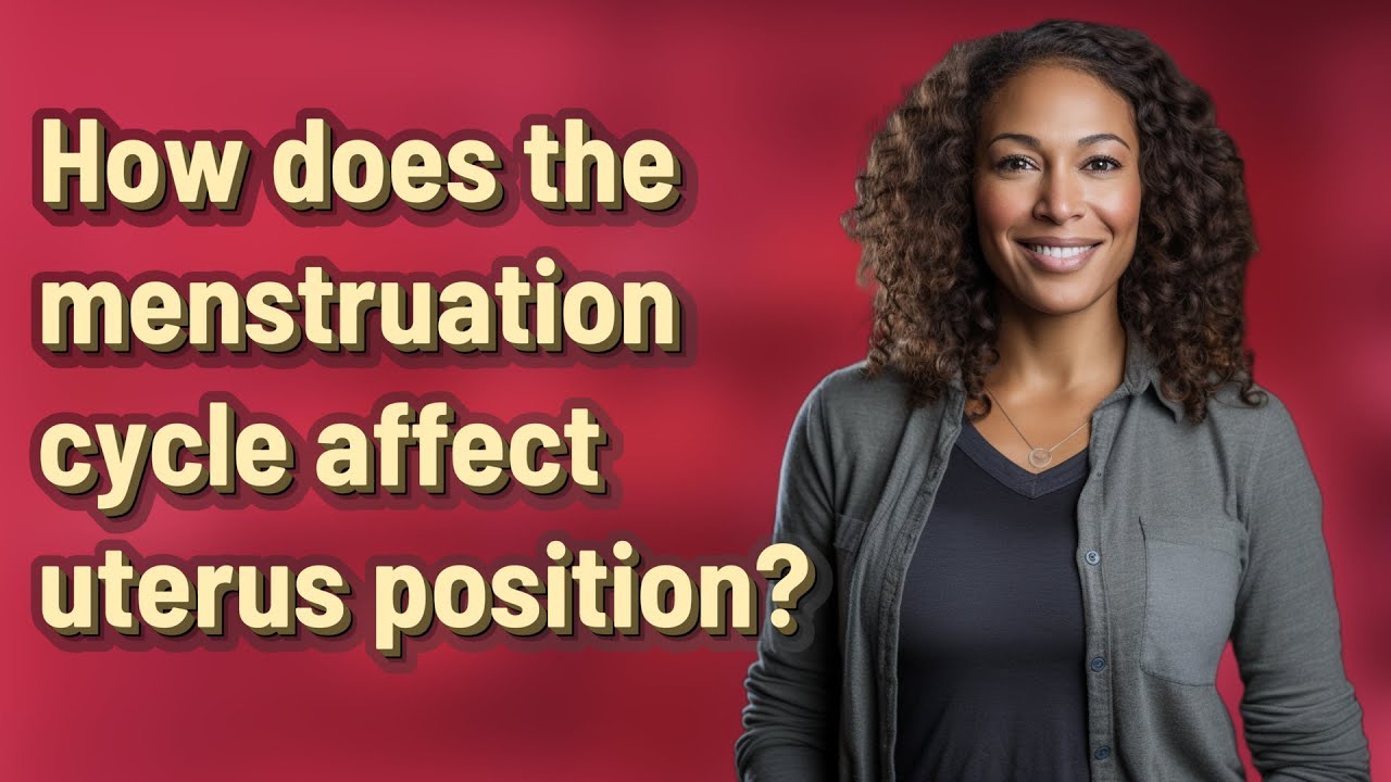 How does the menstruation cycle affect uterus position? - YouTube