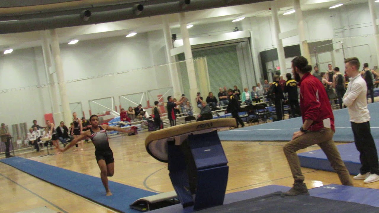 Adam Hein - Vault - 2017 Iowa State Championship - YouTube