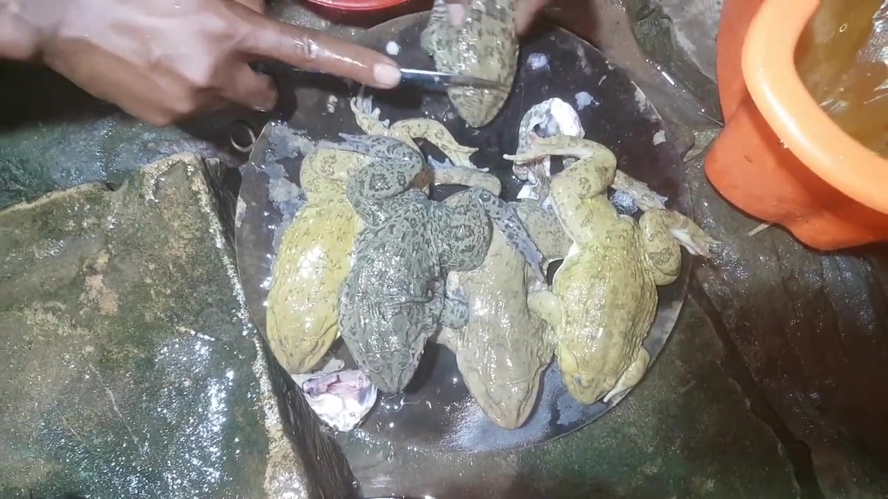 Village food | Cutting And cleaning Frog before Cooking | Frog cooking ...