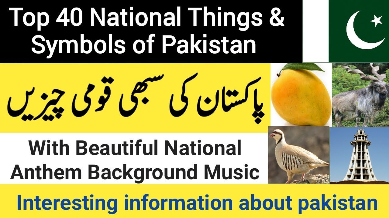 National Things Of Pakistan Top 40 National Things Of Pakistan national-things-of-pakistan-top-40-national-things-of-pakistan