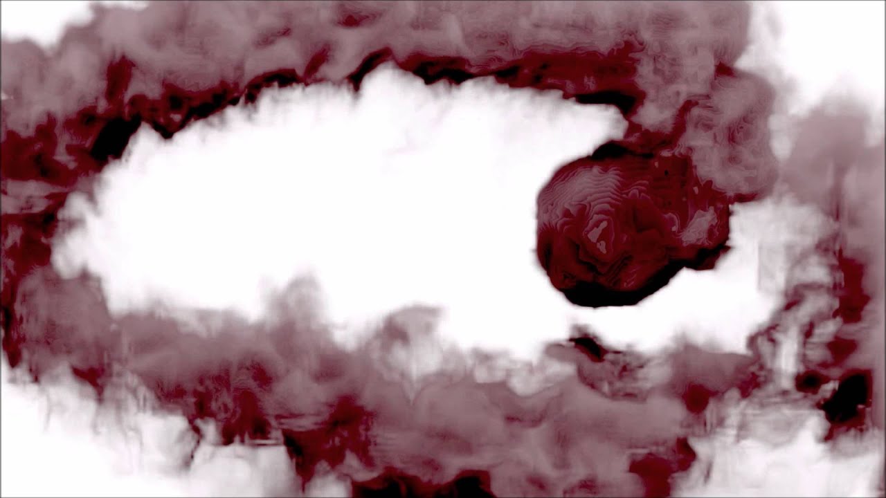 Smoke Professional video logo animation for your logo design business ...