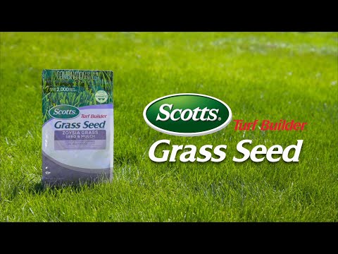 How to Use Scotts® Turf Builder® Grass Seed