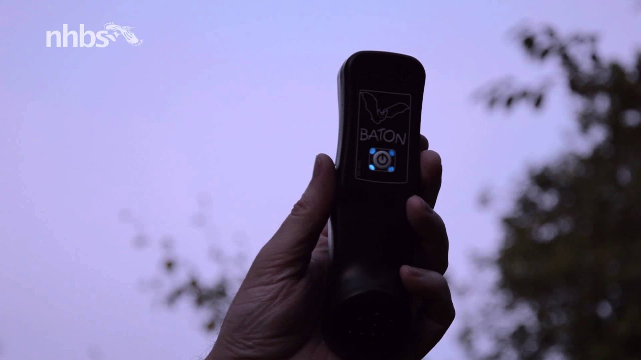 Batbox Baton bat detector - YouTube