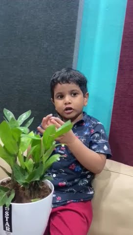 I am a tree 🌴 by Gaddam Vihàan Reddy - YouTube
