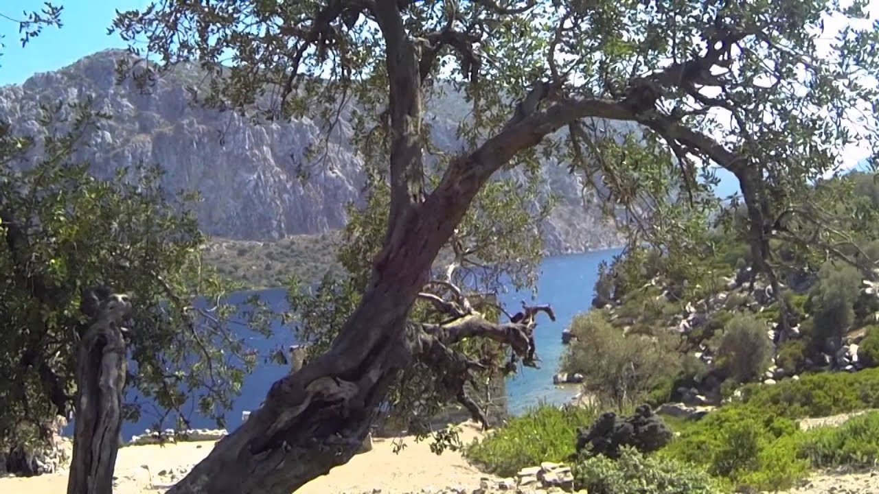 KAMERİYE ADASI, KAMERIYE ISLAND - Sailing Dive Liveaboard MSY OKYANUS ...