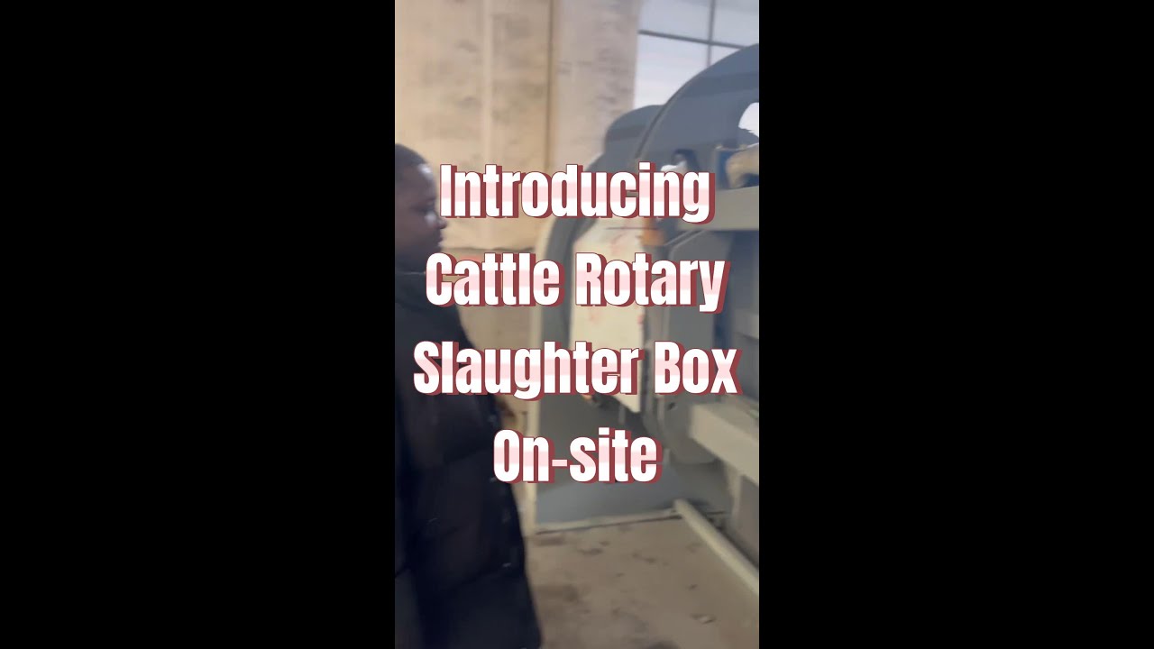 cattle halal rotary slaughter box cow abattoir equipment killing box ...