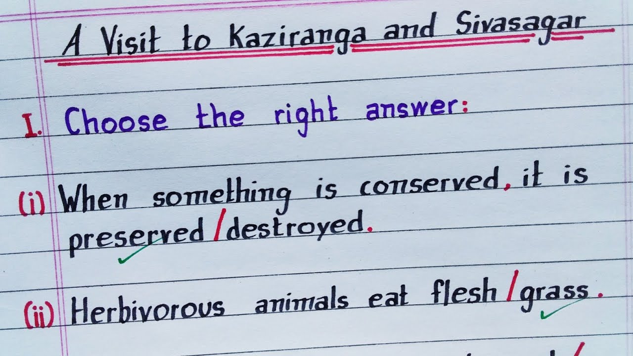 Choose The Right Answer A Visit To Kaziranga And Sivasagar choose-the-right-answer-a-visit-to-kaziranga-and-sivasagar
