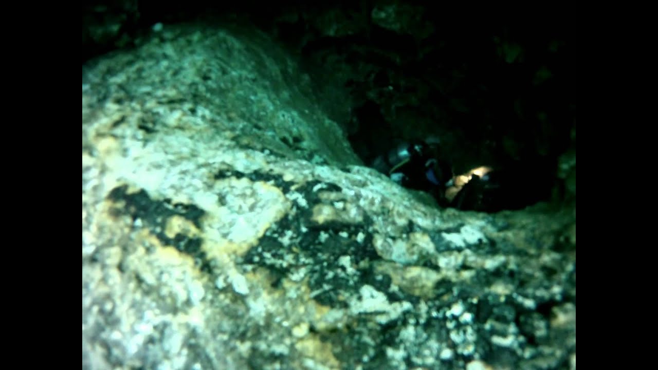 Diving Catfish hole Manatee Springs state park Florida - YouTube