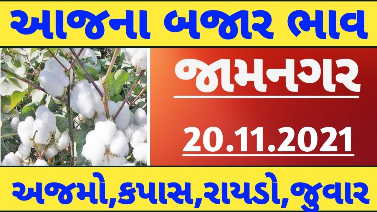 community price 20-11-2021 jamnagar market yard na bhav/ajna bajar bhav ...