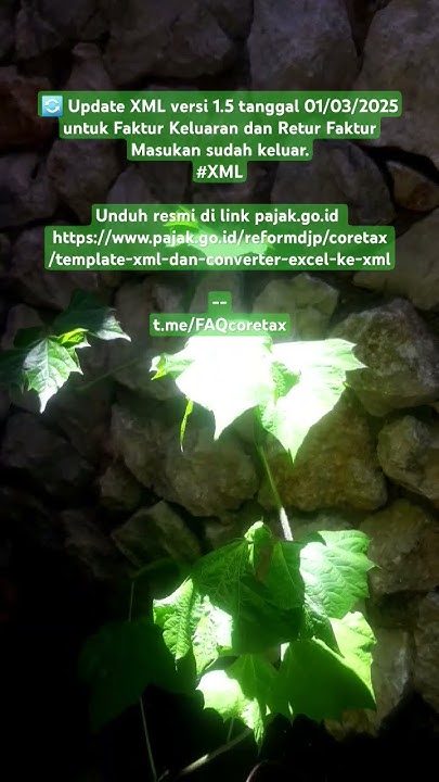 Update XML versi 1.5 tanggal 01/03/2025 untuk Faktur Keluaran dan Retur Faktur. - YouTube