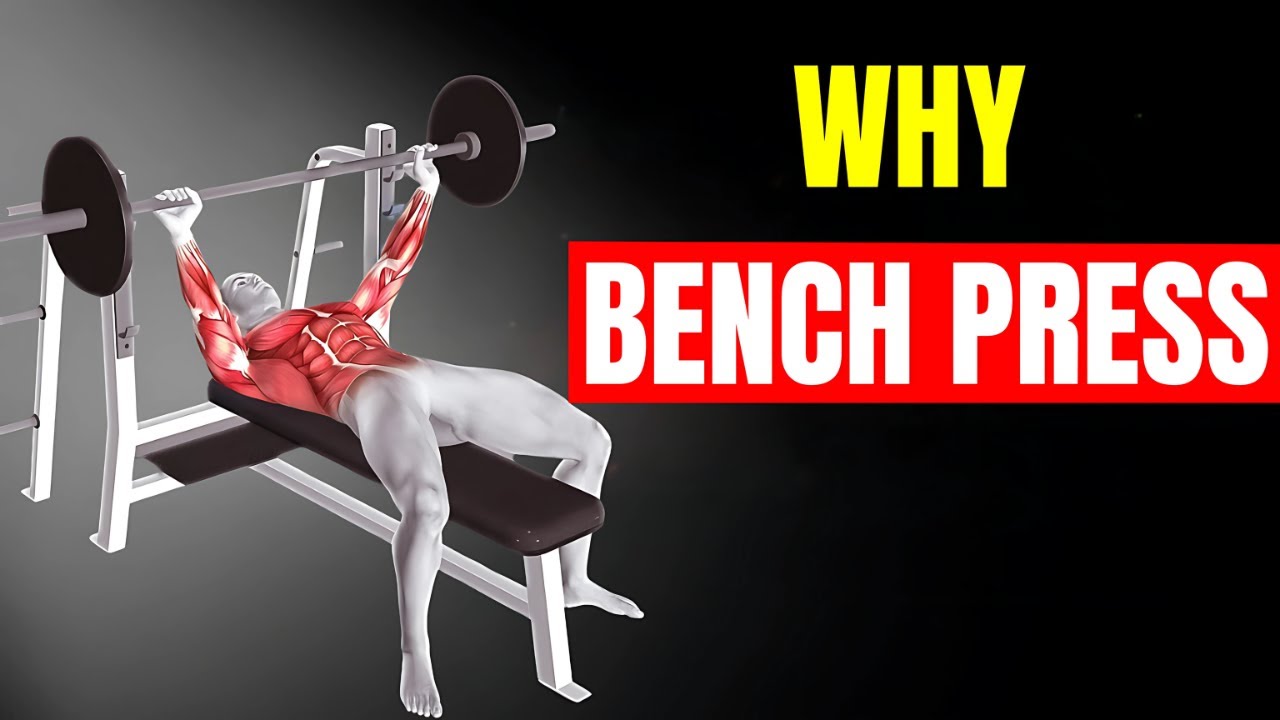 What Happens to Your Body When You Do Bench Press - YouTube