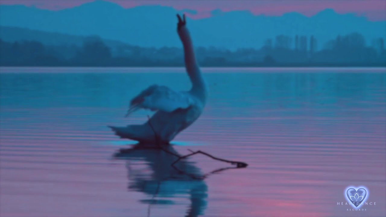 Reflections | Sherry Finzer & Chris B. Jácome | Reflective and Healing ...