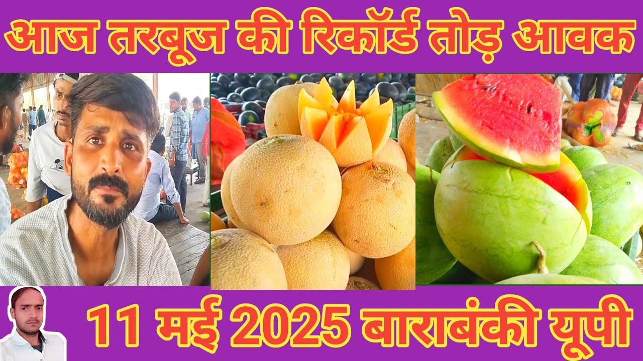 आज तरबूज की रिकॉर्ड तोड़ आवक 11 मई 2025🍉tarbuj bhav today🍉watermelon ...