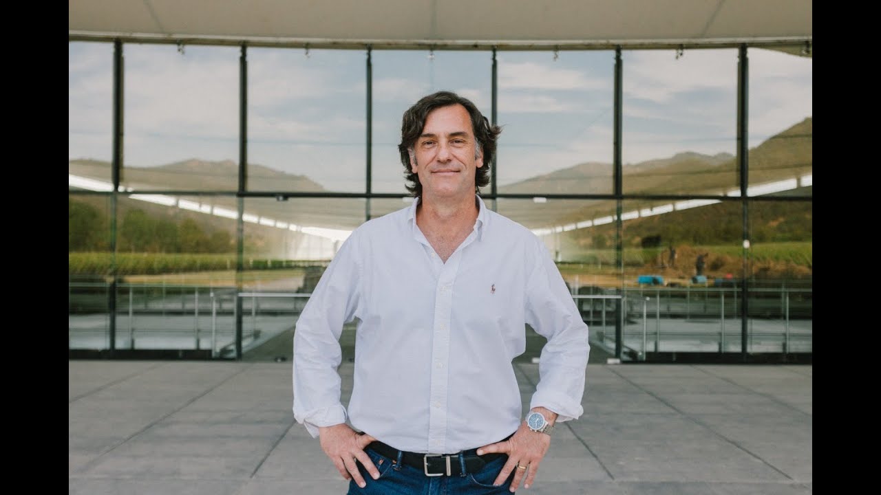 VIK Meet Sessions: Renée Sferrazza - YouTube