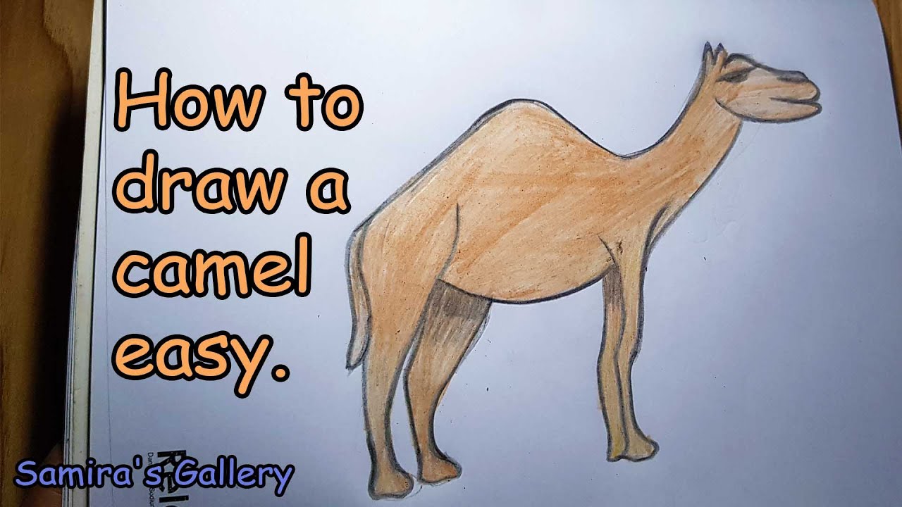 How to draw a camel easy step by step | Easy camel drawing. - YouTube