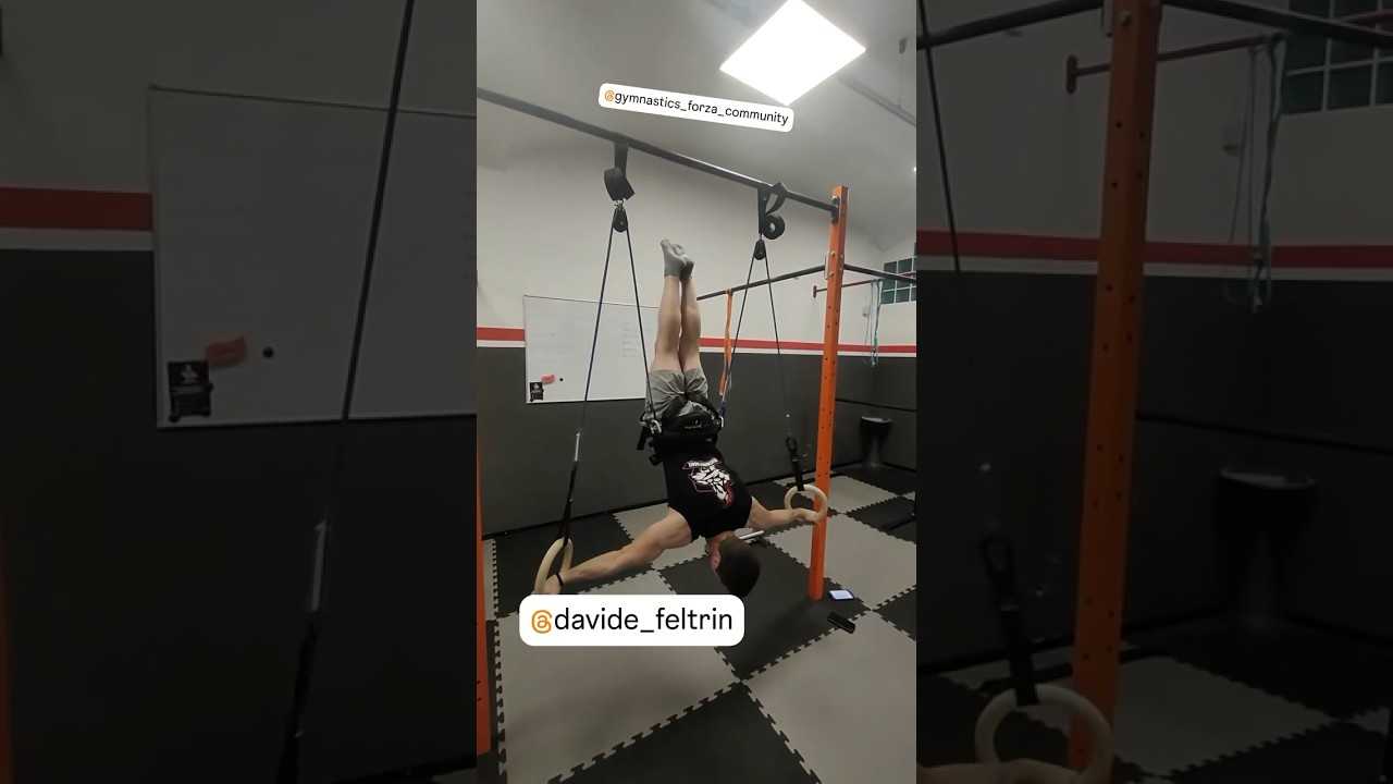 Gymnastics Forza rings system calisthenics workout - YouTube