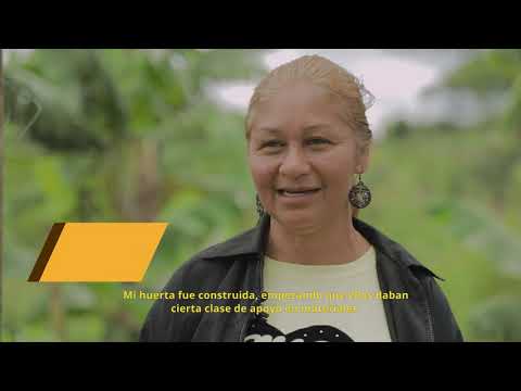 Resiliencia al cambio climático desde los agricultores del TeSAC Cauca ...
